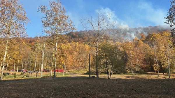 Officials are monitoring over 50 brush fires burning across the state ...
