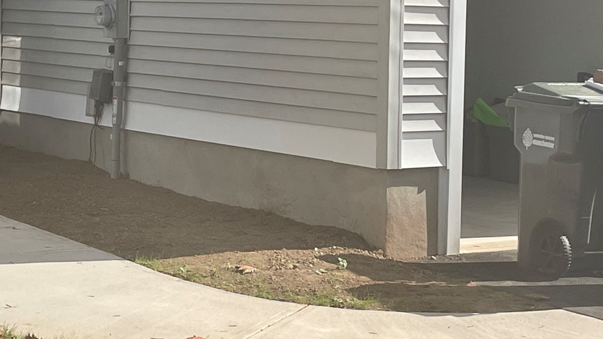 End in sight for crumbling concrete crisis? – NBC Connecticut