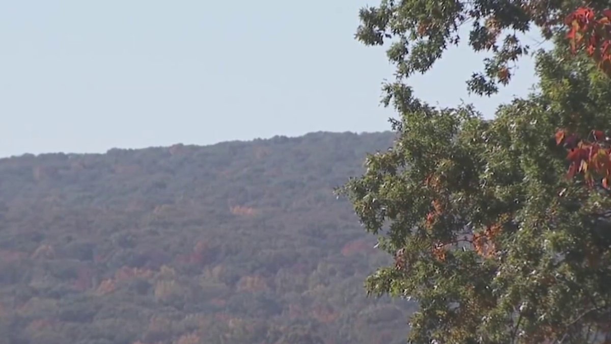 Rain overnight was not enough to help drought conditions, brush fires ...