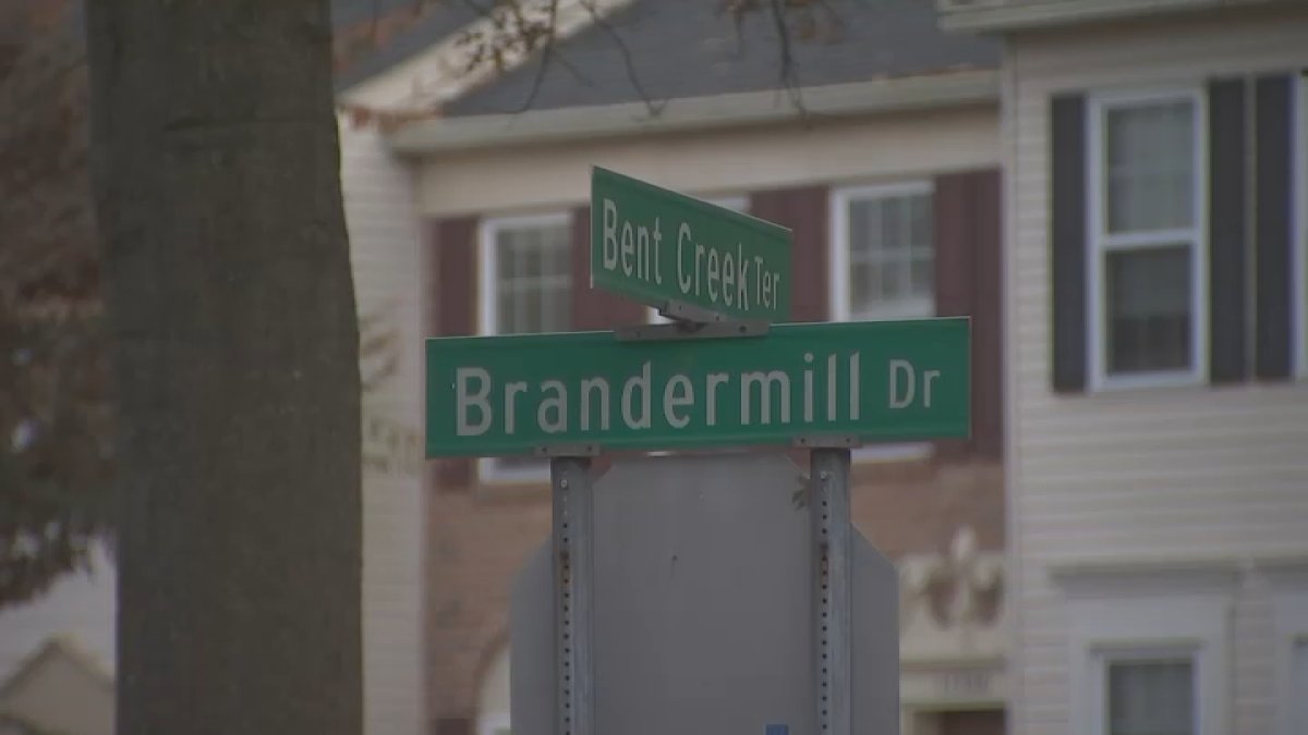 Two women arrested for plotting to murder ex-boyfriend – NBC Connecticut