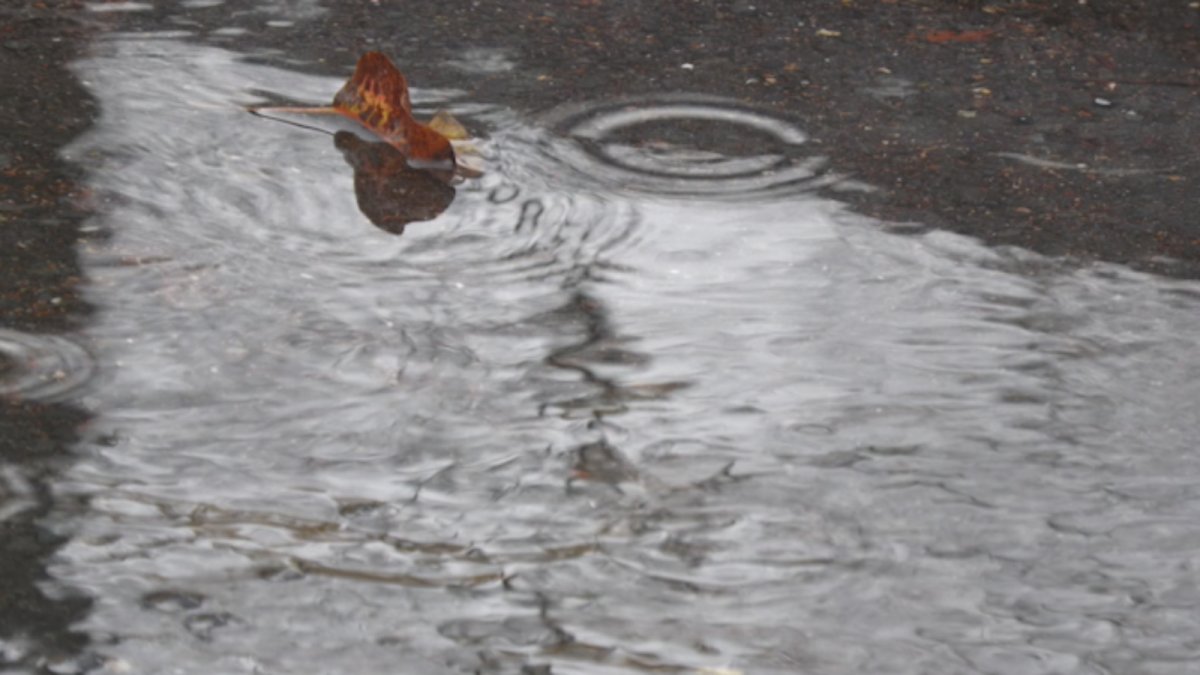 Rain’s impact on drought and long-term fire concern is yet to be ...