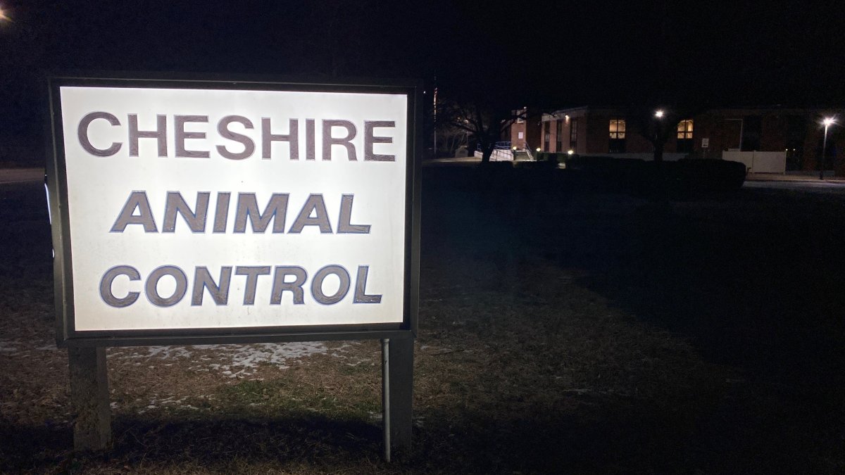 Cheshire officials speak out amid concerning allegations about animal ...