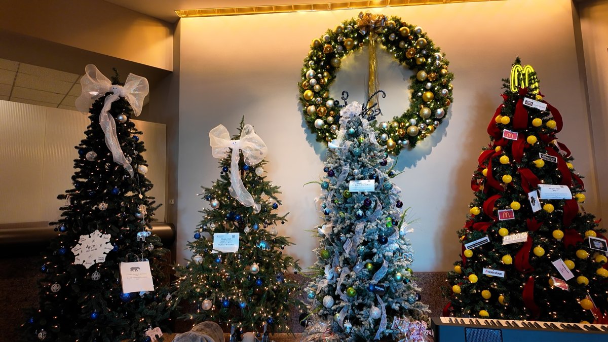 Ronald McDonald House ‘Trees of Hope’ event fundraises for its 35th ...