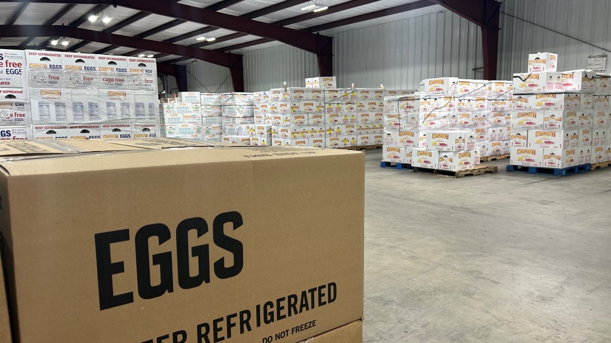 Avian flu impacting egg supply – NBC Connecticut