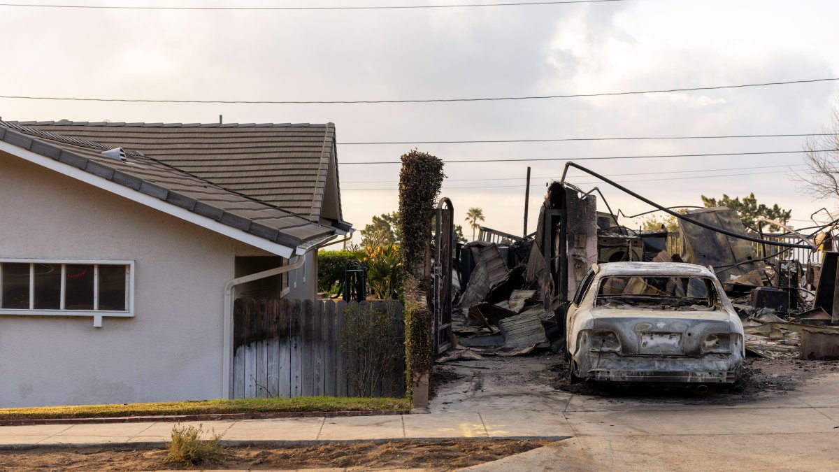 What is defensible space? The step-by-step guide – NBC Connecticut