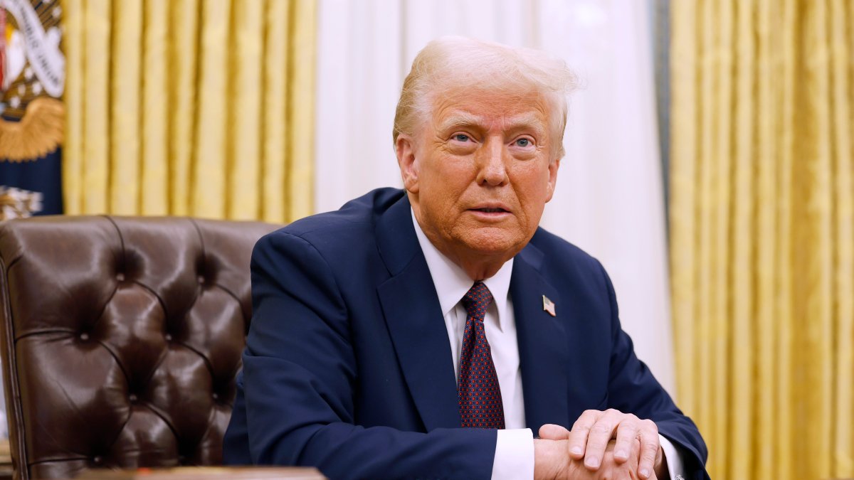 Defense agency bans Black History Month, other ‘special observances’ – NBC Connecticut