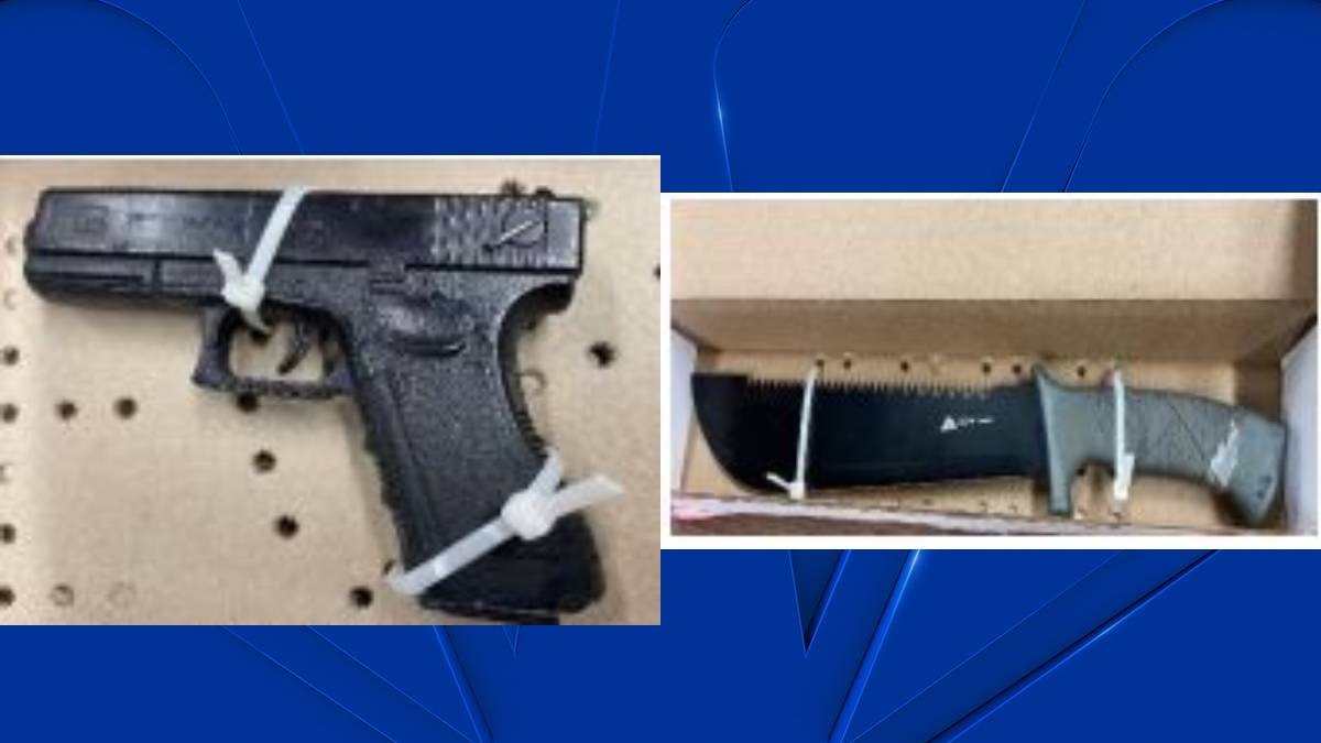 Teens accused of assaulting, threatening teen with fake gun at Urban ...