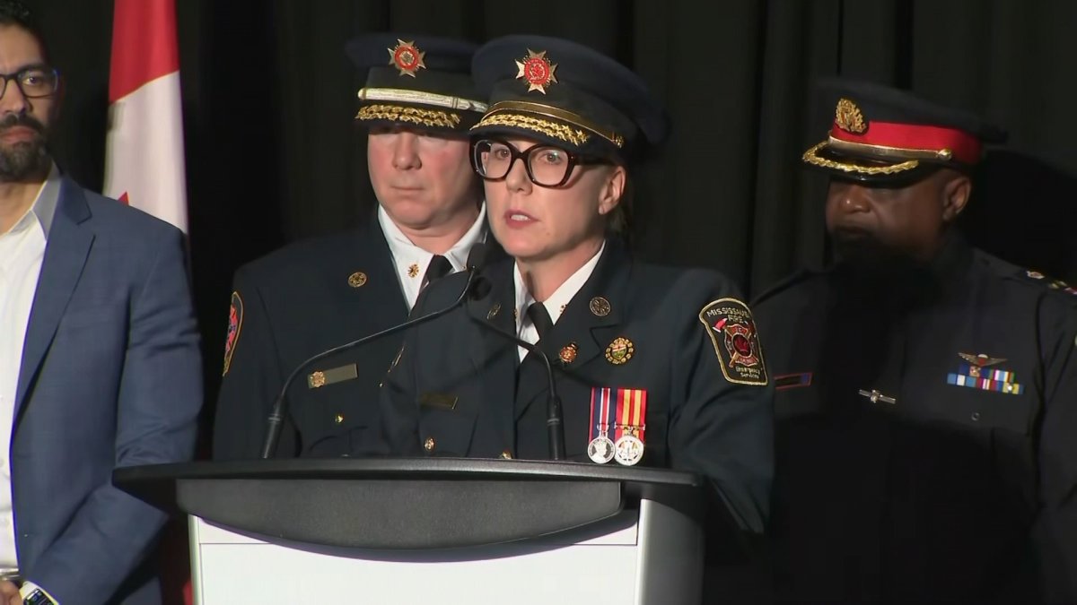 ‘Back sprains, head injuries, anxiety’: Toronto plane crash first responders describe evacuation ...