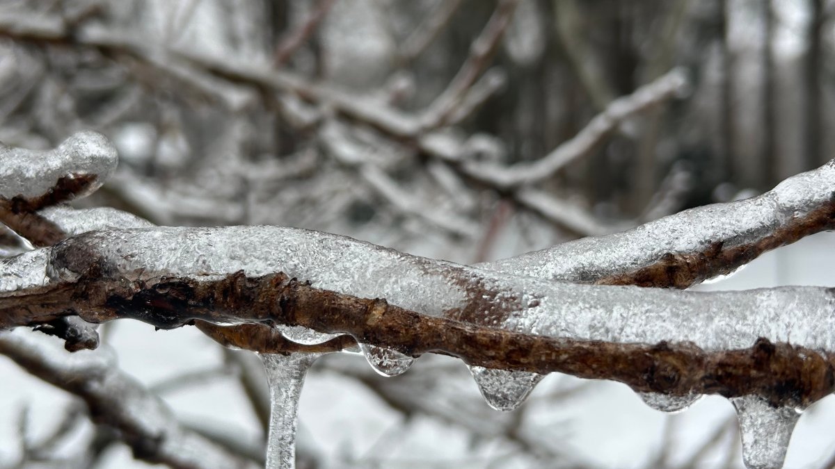 Your snow and ice photos from weekend storm – NBC Connecticut