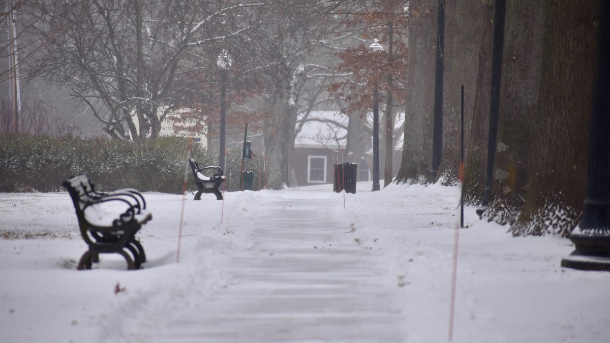 Photos of snow on Feb. 6 – NBC Connecticut
