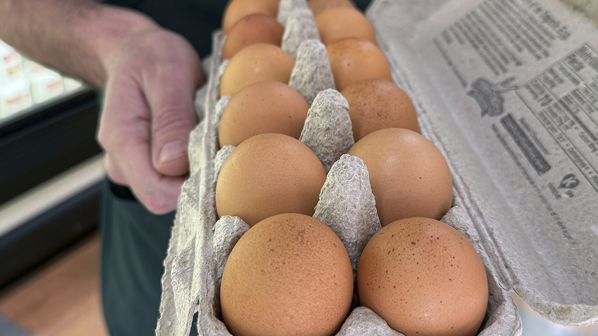 Egg prices could jump 41% this year, USDA says – NBC Connecticut