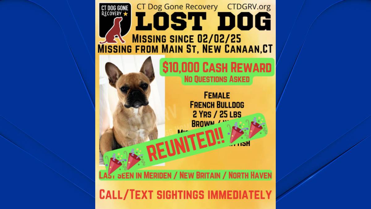 Dog missing for more than a week after SUV was stolen in New Canaan ...