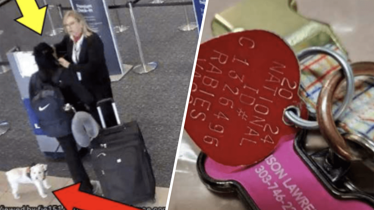 Woman accused of drowning dog in Orlando airport bathroom – NBC Connecticut