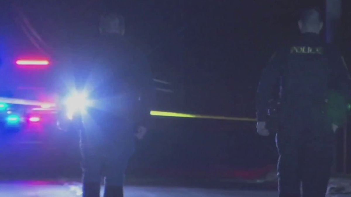 Police release names of son, mother and father who died during dispute ...