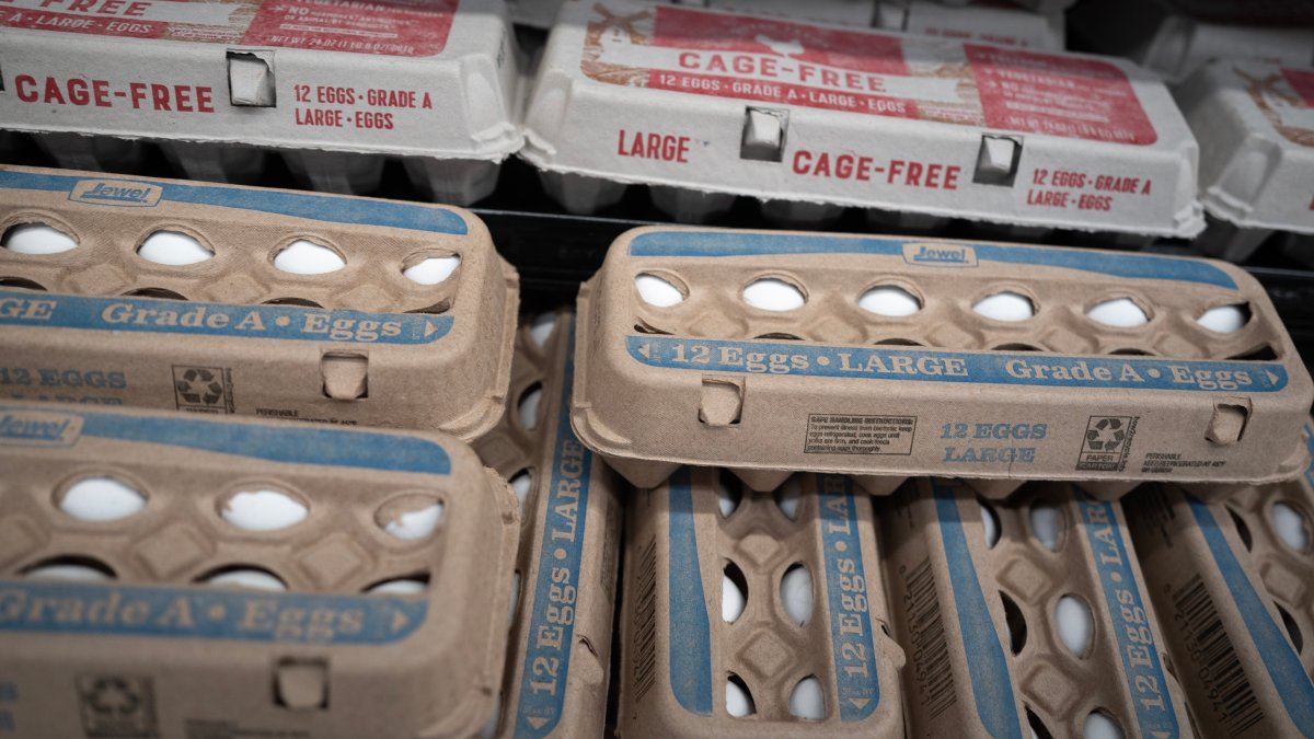The US is on an egg hunt in Europe to ease prices at home – NBC Connecticut