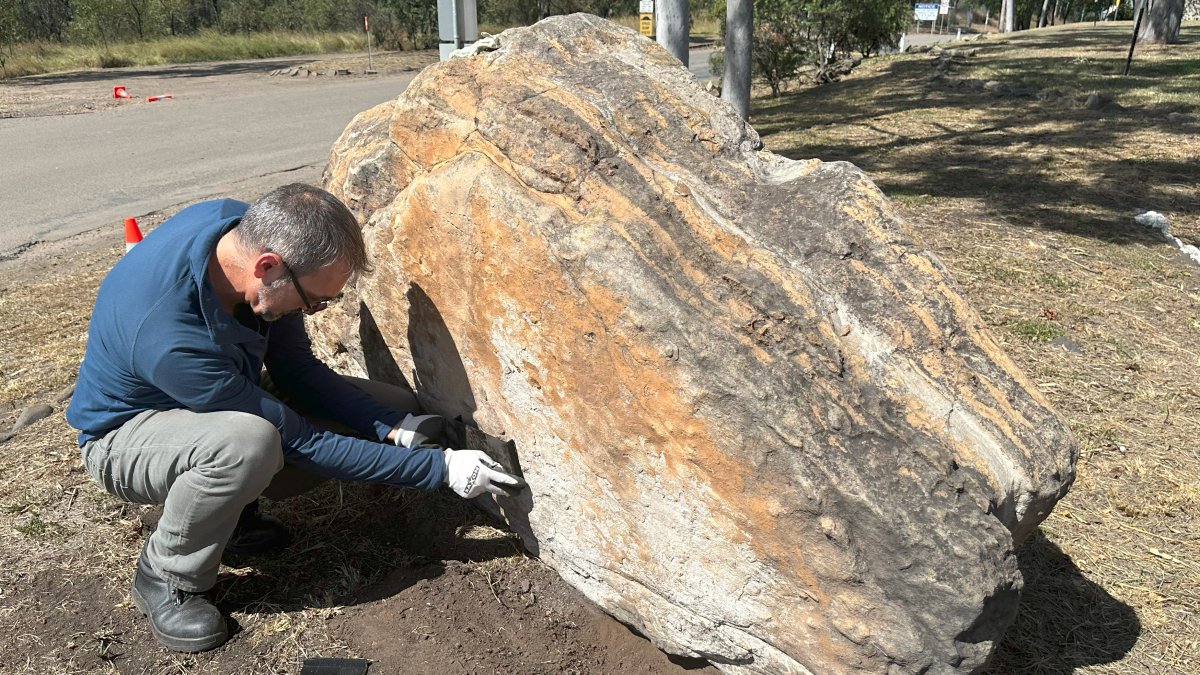 School discovers 200-million year old dinosaur fossils in parking lot ...