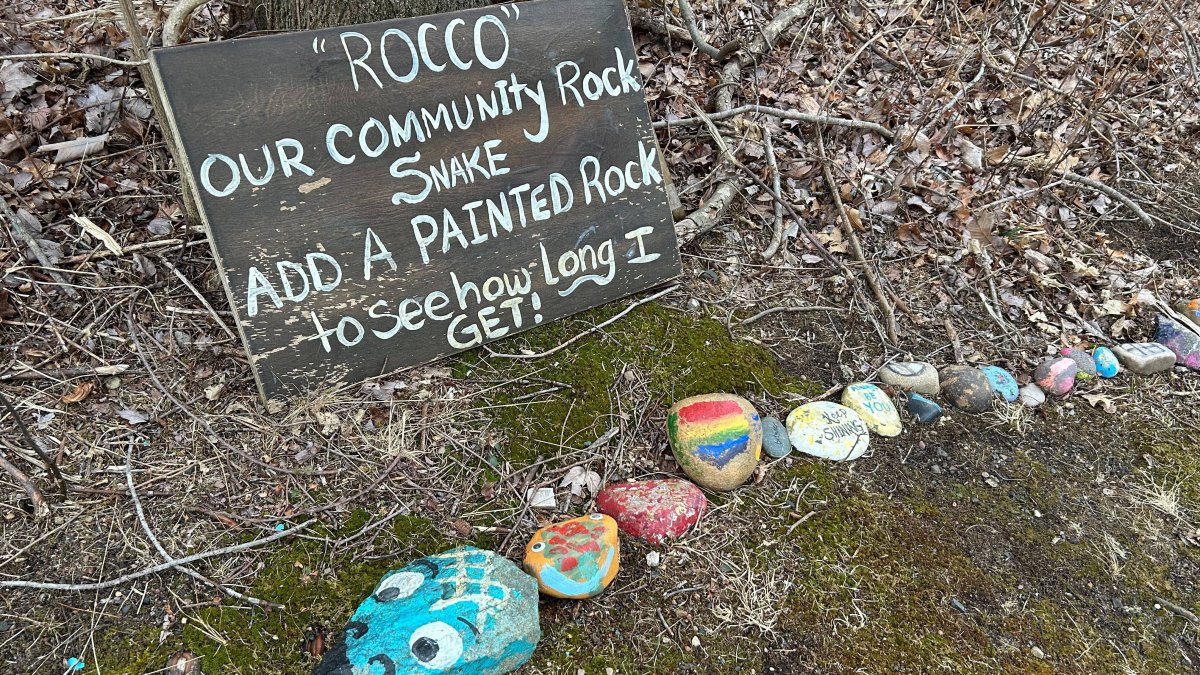 Cheshire’s ‘rock snake’ returns for another year of community ...