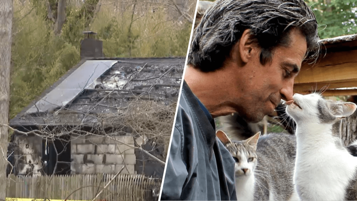 Happy Cat Sanctuary fire kills owner, many animals feared dead – NBC ...