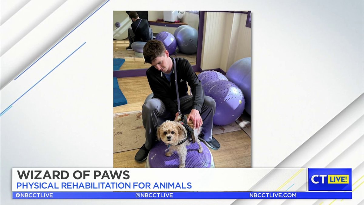 CT LIVE!: PAWSitively Good Award Winner – Wizard of Paws – NBC Connecticut