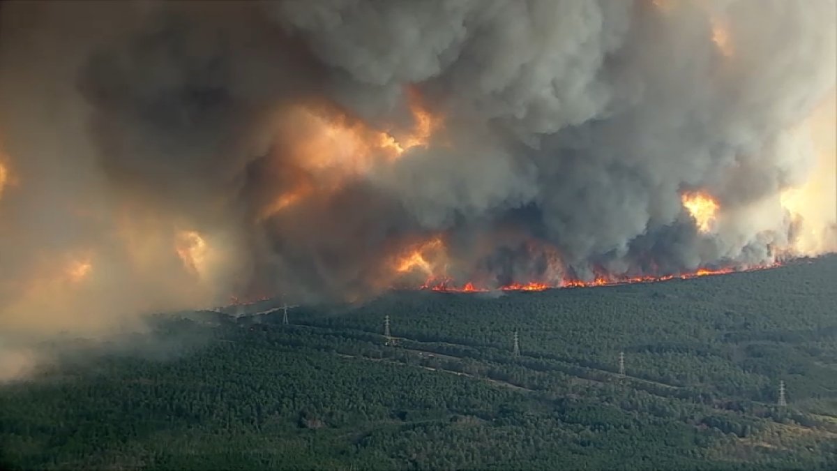 Wildfire in Ocean County fills air above NJ with thick smoke – NBC ...