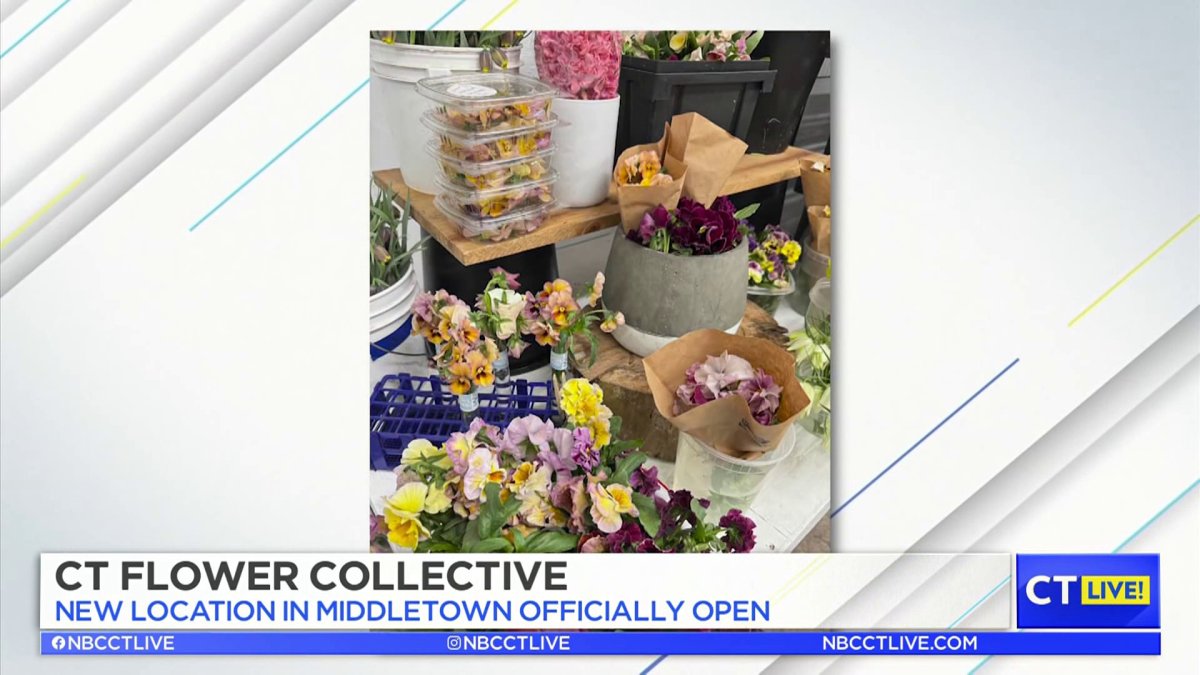 CT LIVE!: Connecticut Grown Crops Now in Season – NBC Connecticut