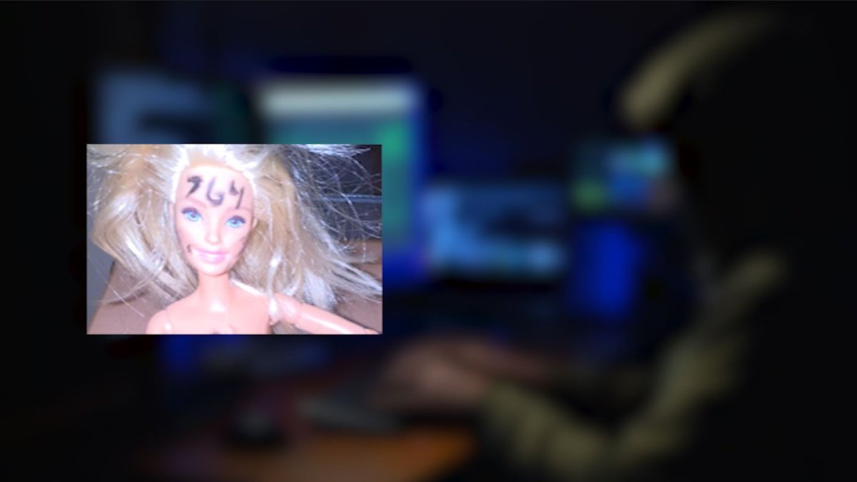 Police warn of online child exploitation network ‘764’ that victimized ...