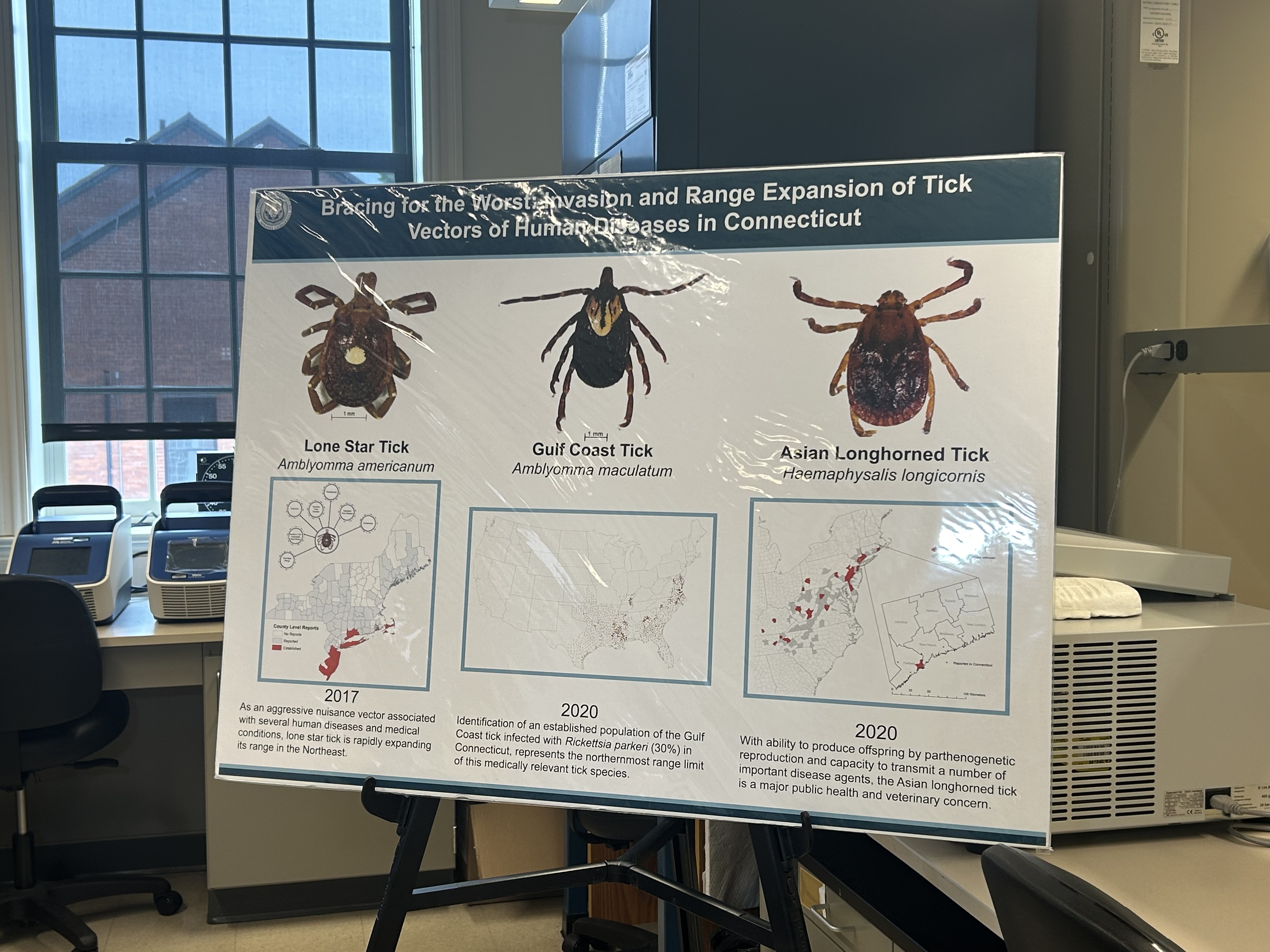 Report shows first evidence of longhorned tick infection in CT in ...