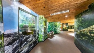 Beardsley Zoo rainforest building reopens after a refresh – NBC Connecticut