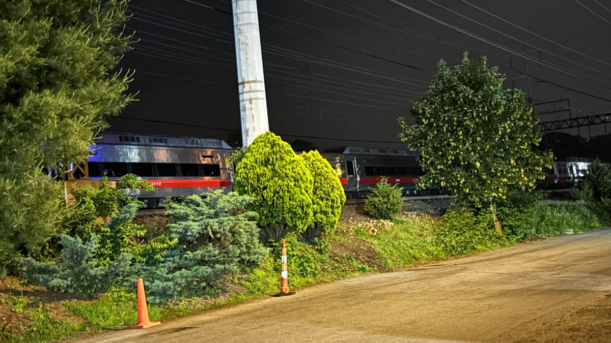 Crews make repairs after downed power lines cause massive train delays ...