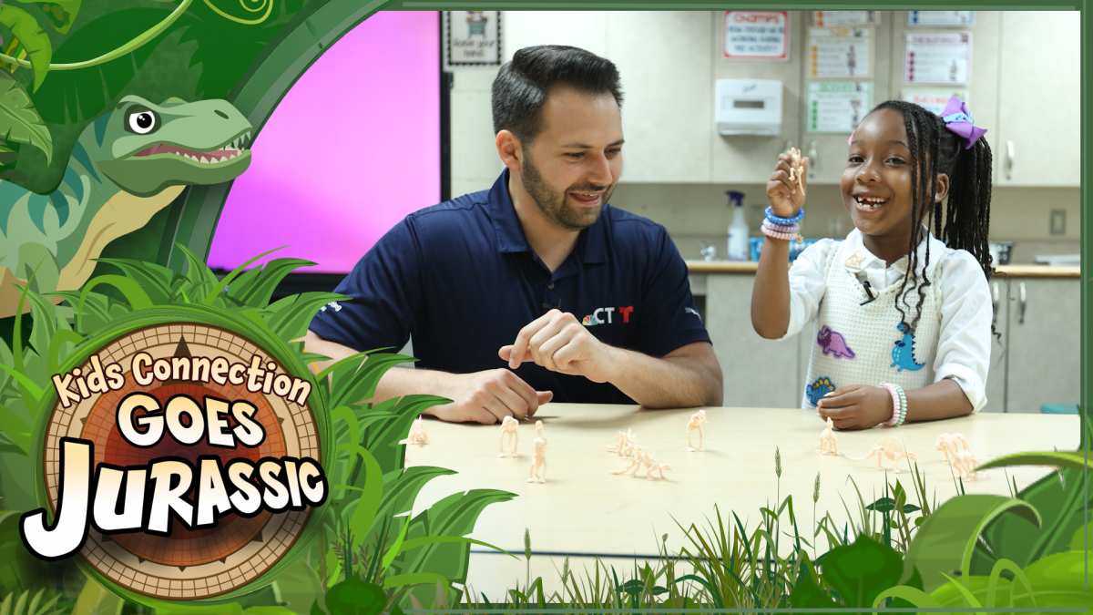 Kids Connection Goes Jurassic – Make Your Own Fossil – NBC Connecticut