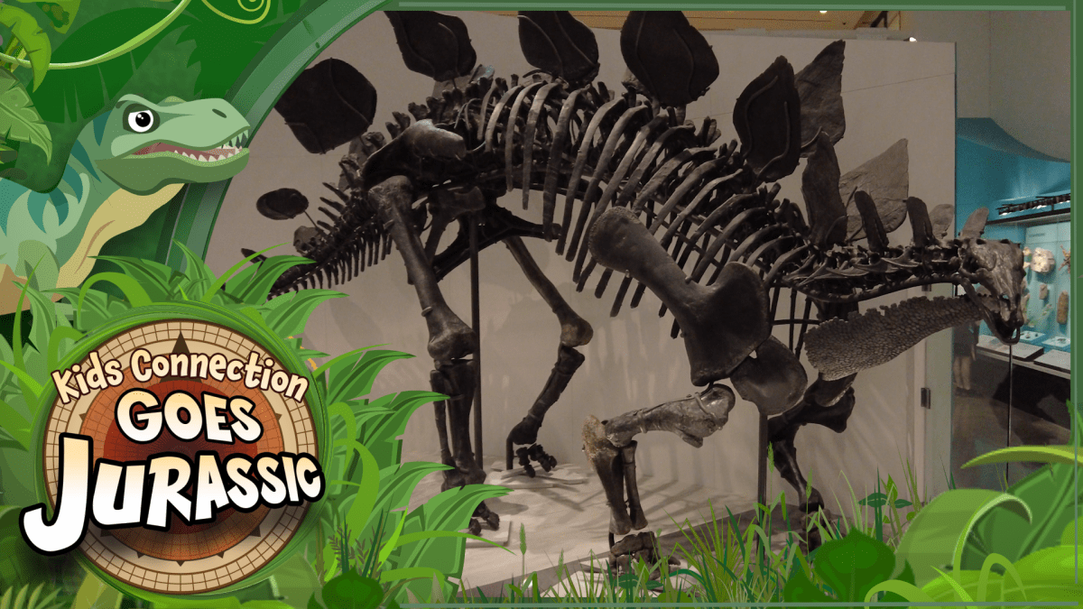 Kids Connection Goes Jurassic – Where Did the Dinosaurs Go? – NBC ...