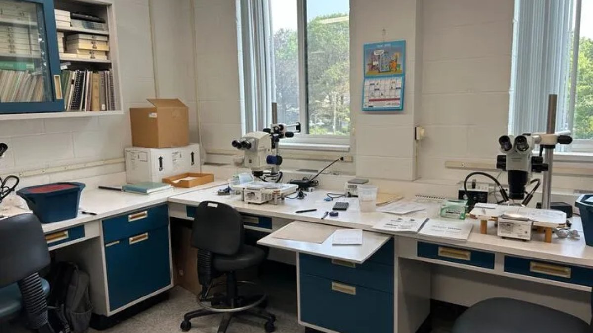 Mosquito testing underway to monitor dangerous diseases around ...