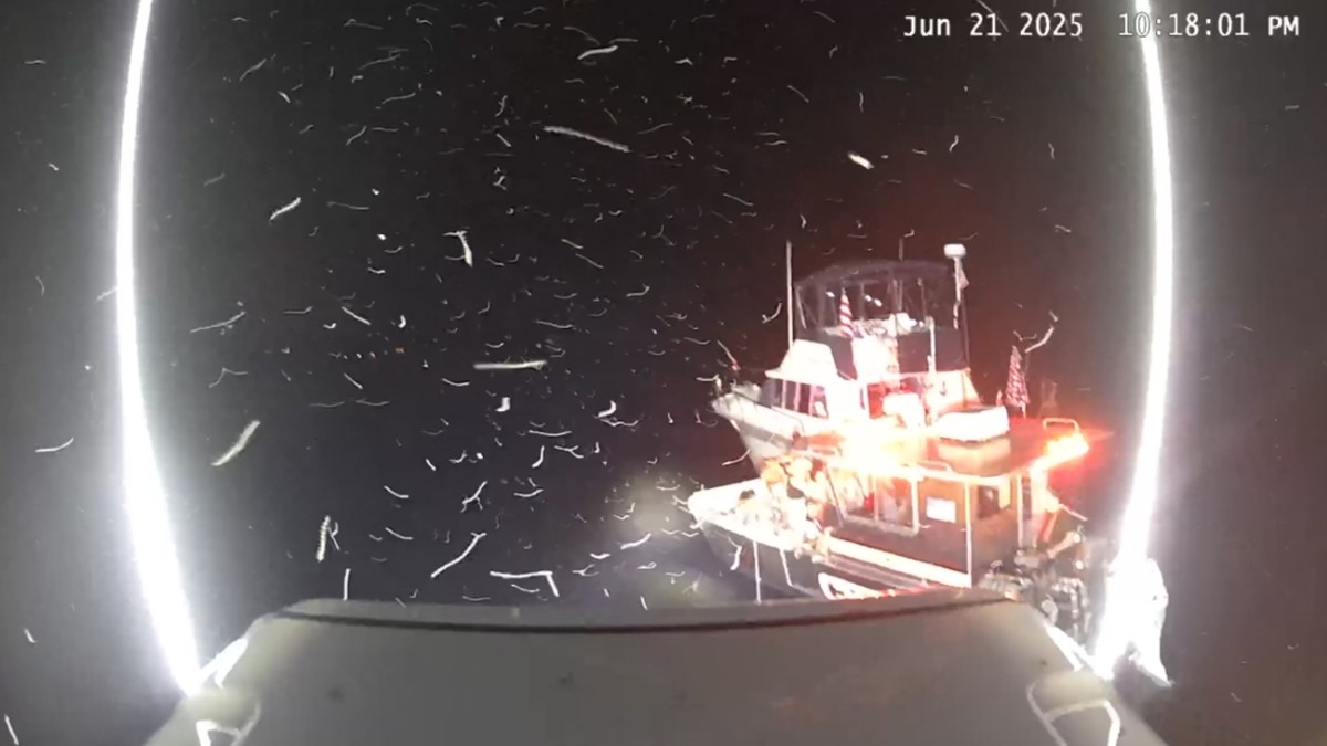 25 people rescued from boat that went aground in CT River near Deep ...