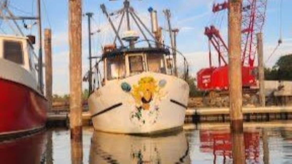 Cape Cod, MA missing fishing boat: Search for Seahorse – NBC Connecticut