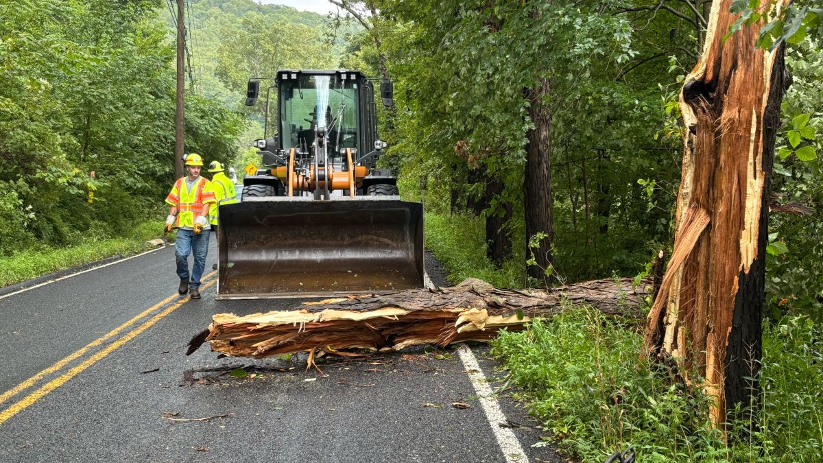Passing storms bring fallen trees, power outages across Connecticut ...