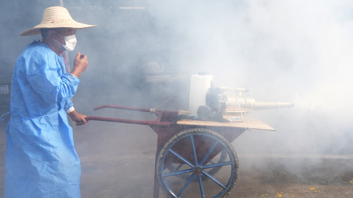 What is chikungunya, the virus now spreading in southern China? – NBC ...