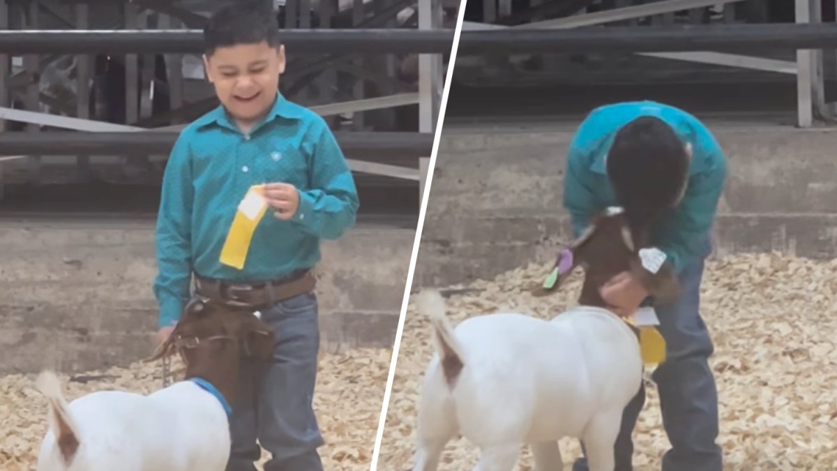 Boy’s joyful reaction to goat show win in Texas goes viral – NBC ...