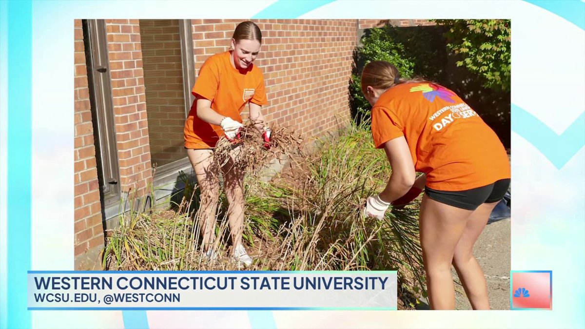 CT LIVE: Western Connecticut State University’s Day of Service – NBC ...