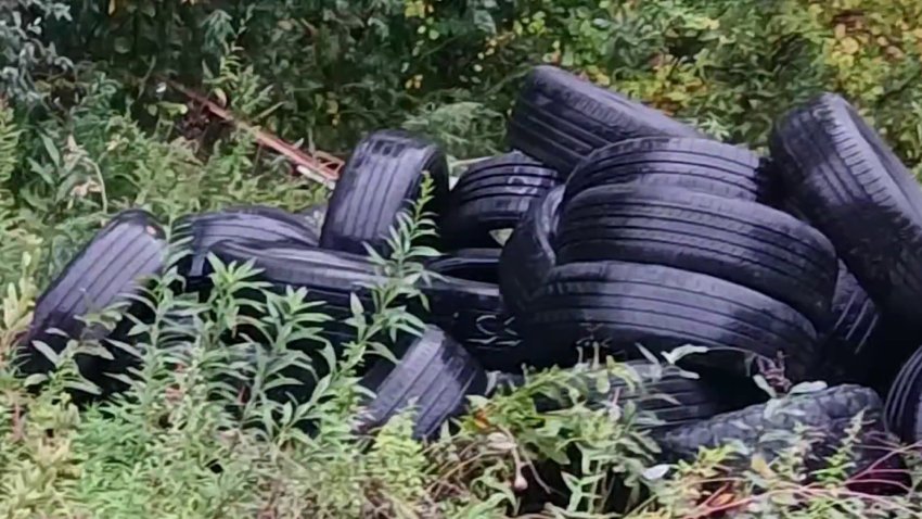 Tag: Enfield – NBC Connecticut