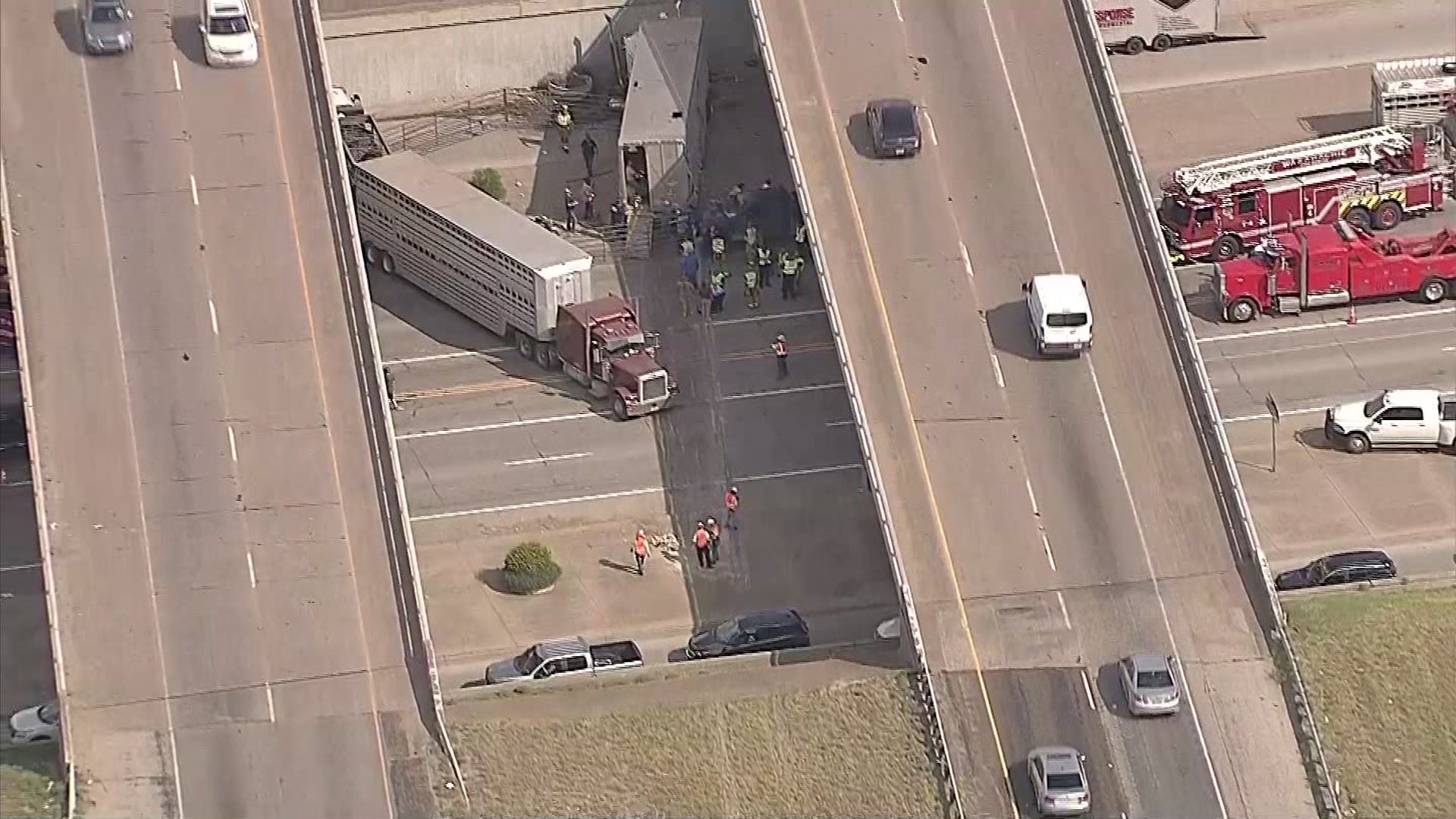 Livestock hauler in Texas crashes onto highway below – NBC Connecticut