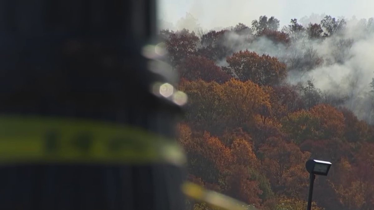 Hawthorne Drive Fire 1 year later: State looks ahead to stronger brush ...