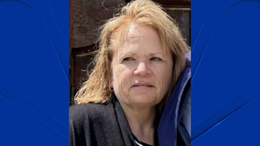 Search underway in Natchaug State Forest for a missing Mansfield woman ...