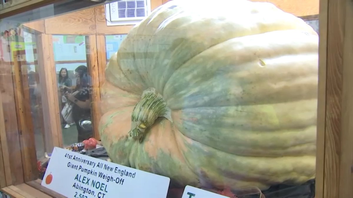 Topsfield Fair giant pumpkin record set – NBC Connecticut