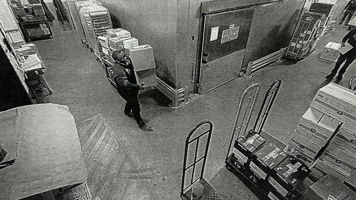 Lamar Cook, staffer for Gov. Healey, fired after his arrest – NBC ...