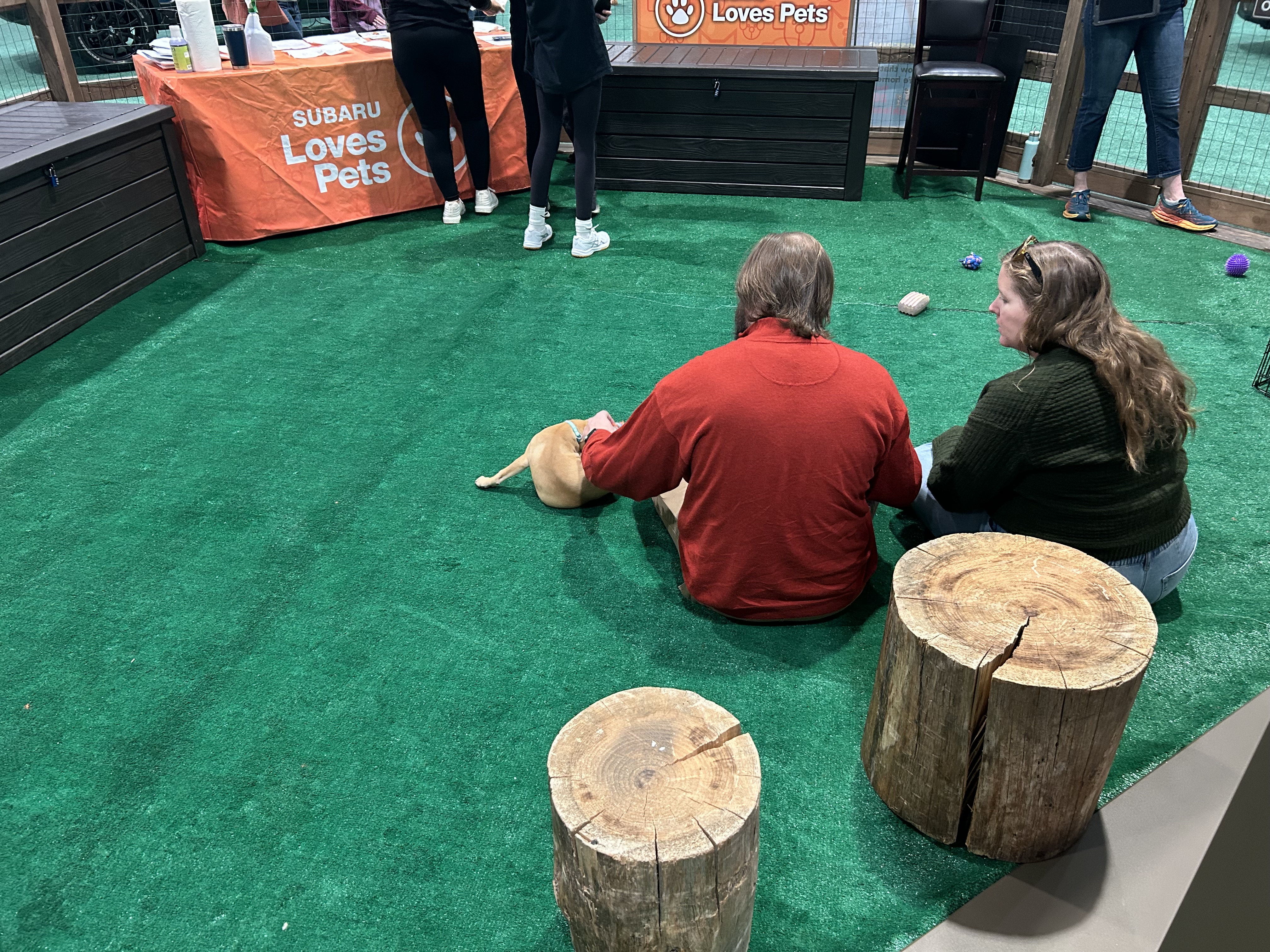 The Connecticut International Auto Show returns to Mohegan Sun – NBC ...