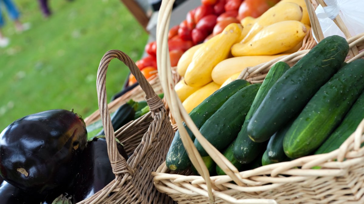 Bristol Farmers Market will double SNAP benefits at Fall Festival ...