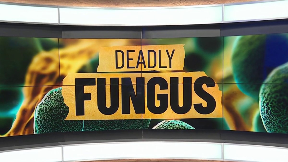 Superbug posing a threat to healthcare facilities and patients – NBC ...