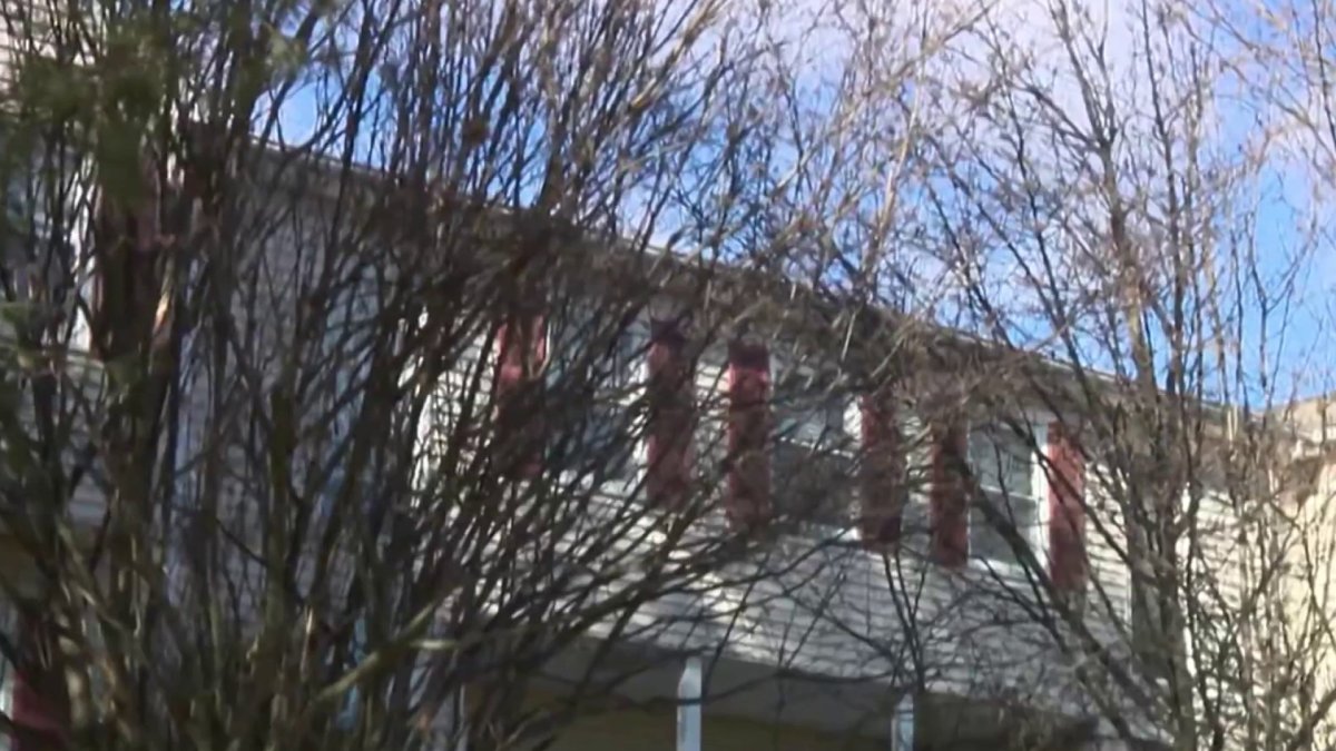 Bullet shot through wall kills person in home next door in Danbury ...