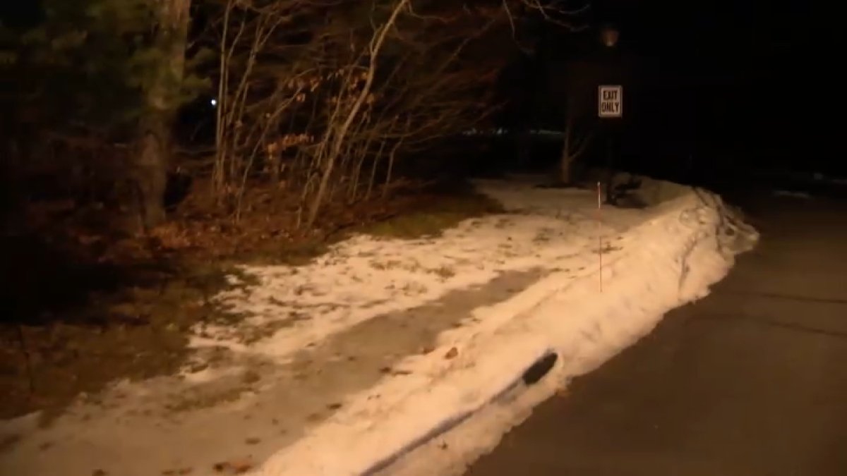 Dead dog found in Wolcott woods, animal advocacy group offer reward for ...