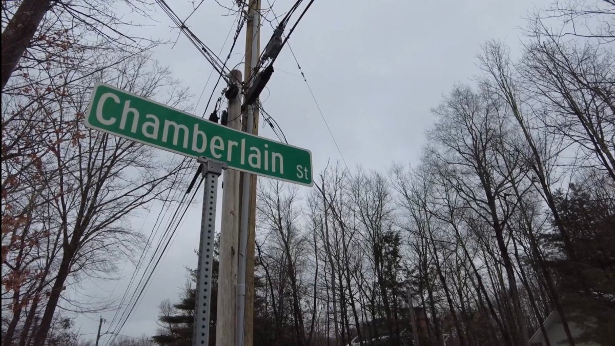 Bear attempts to make den under Torrington home, prompting safety ...